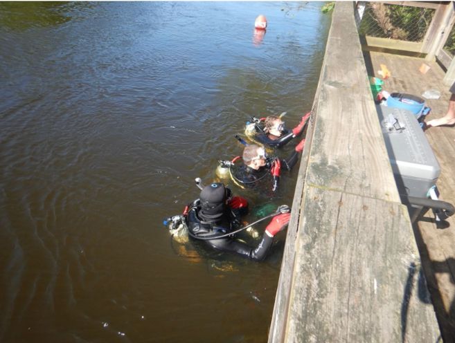 Kalamazoo River Mussels – KRWC